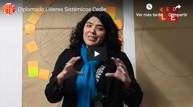 Diplomado para Líderes Sistémicos CEDLE - Facultad de Educación