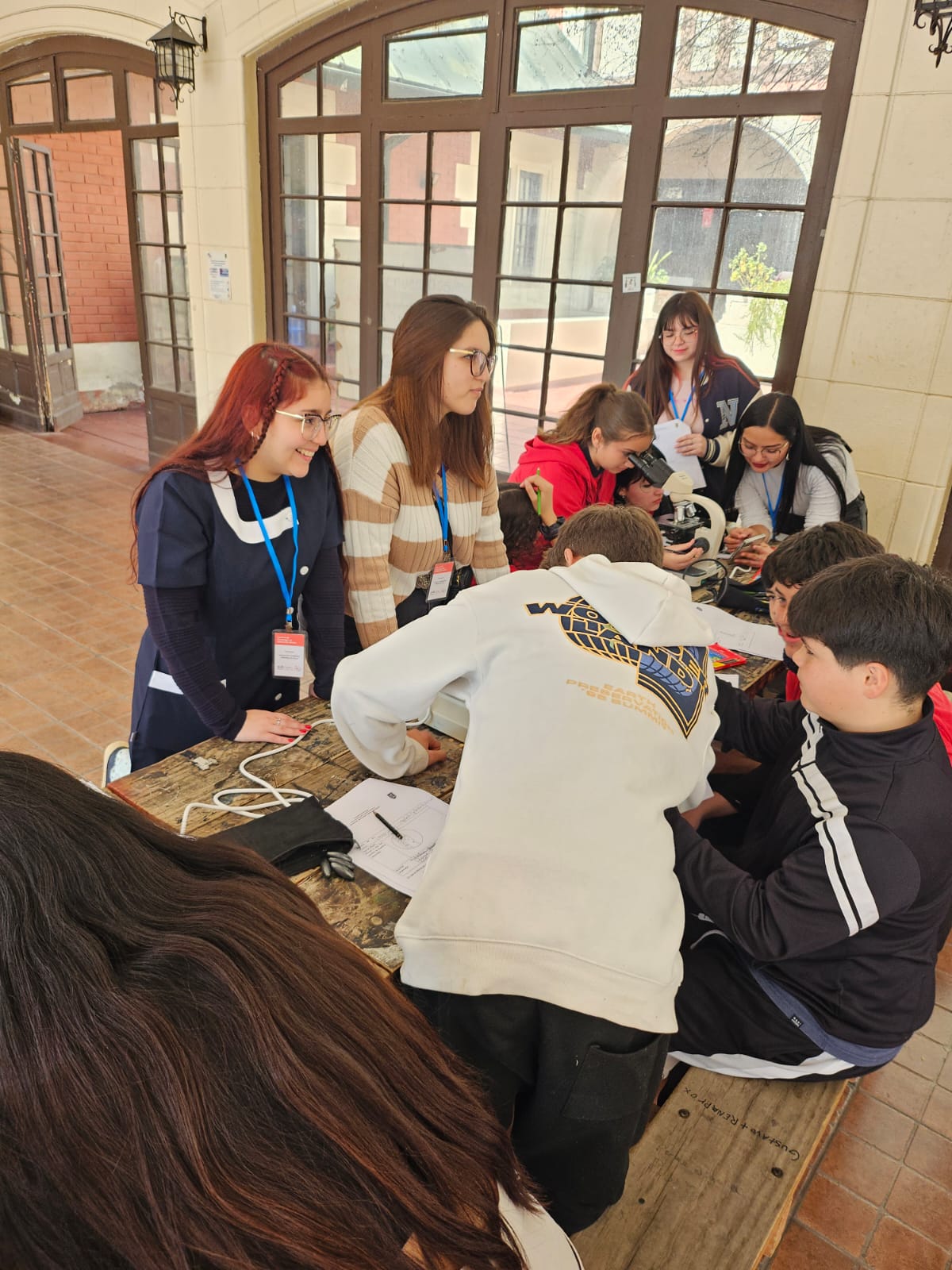 Estudiantes de Pedagogía en Educación Básica realizaron co-docencia en ...