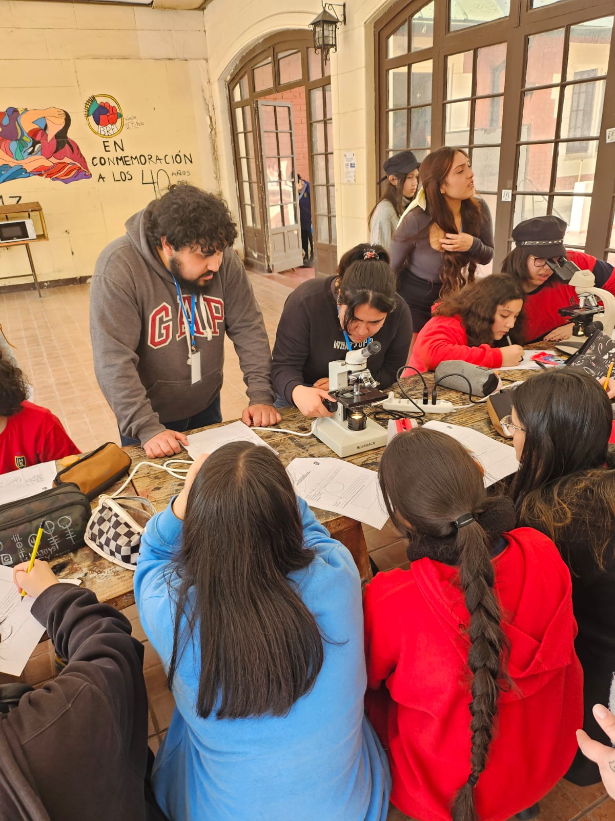Estudiantes de Pedagogía en Educación Básica realizaron co-docencia en ...